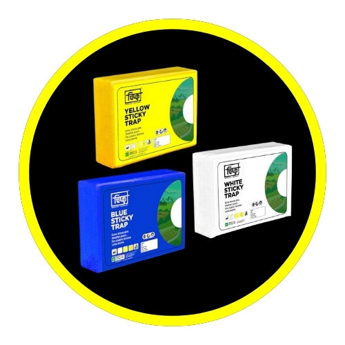 Sticky Trap – Chipku