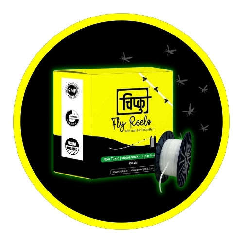 Fly Special – Chipku